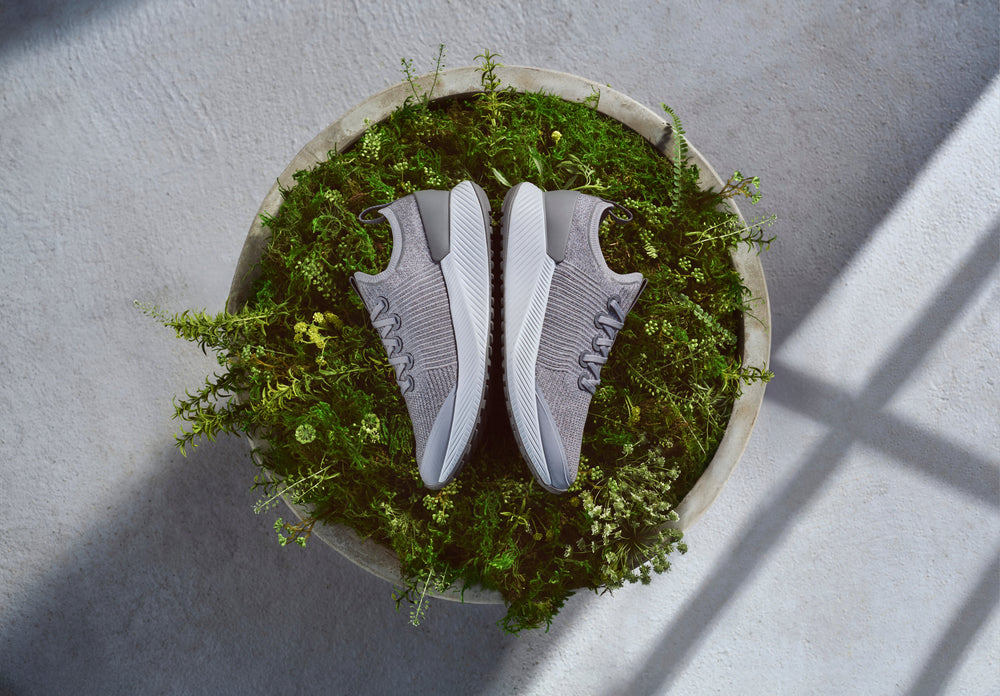 Allbirds: Comfortable, Sustainable Shoes & Apparel